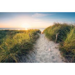 Komar Fototapete &raquo;Vlies - Way to the Beach - Gr&ouml;&szlig;e 368 x 248 cm&laquo; bedruckt glatt Wohnzimmer, Schlafzimmer bunt Vlies B/L: 3,68m x 2,48m, Rollen: 1