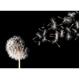 papermoon Fototapete &raquo;Dandelion&laquo; glatt bunt Vlies B/L: 3,5m x 2,6m, Bahnen: 7 Stk.