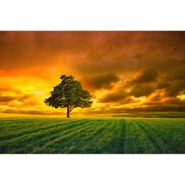 papermoon Fototapete &raquo;Horizon Sunset&laquo; glatt bunt Vlies B/L: 2,5m x 1,86m, Bahnen: 5 Stk.