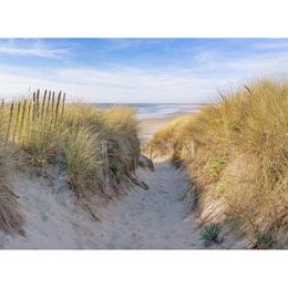 papermoon Fototapete &raquo;Dunes in Bretagne&laquo; glatt bunt Vlies B/L: 1,5m x 1,11m, Bahnen: 7 Stk.