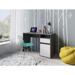 Home Affaire Schreibtisch &raquo;Tinsley&laquo; mit Schublade, und T&uuml;r, Breite 120 x53 cm grau B/H/T: 120cm x 76cm x 53cm, Computertischmit Schublade, T&uuml;r und 