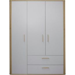 M&auml;usbacher Kleiderschrank grau Holzwerkstoff asteiche, B/H/T: 138cm x 189cm x 51cm, Schubladen: 2 Stk. T&uuml;ren: 3 Stk., Basisausf&uuml;hrung