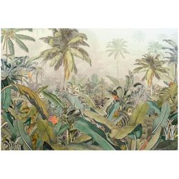 Komar Vliestapete &raquo;Vlies - Amazonia - Gr&ouml;&szlig;e 368 x 248 cm&laquo; bedruckt glatt Wohnzimmer, Schlafzimmer blau Vlies B/L: 368m x 248m, Rollen: 1