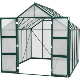 Vitavia Gew&auml;chshaus &raquo;Domus 8300&laquo; mit Doppelschwingt&uuml;ren und bodentiefer T&uuml;rschwelle, 6 mm Hohlkammer gr&uuml;n B/H/T: 257cm x 253,9cm x 325cm