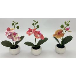 SONSTIGE Kunstpflanze ORCHIDEE