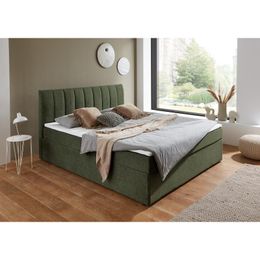 ATLANTIC HOME COLLECTION Boxbett &raquo;Alva, wahlweise mit Matratze&laquo; wahlweise mit Matratze und Topper gr&uuml;n Chenille-Optik mit Bonnell-Federkernmatratze 