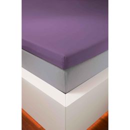 bellana Spannbettlaken &raquo;bellana deluxe f&uuml;r Topper, mit Elasthan, Premium Jersey 230 g/m&sup2;&laquo; mit 5% Elasthan, f&uuml;r Topper mit 4-10cm H&ouml;he, b&uuml;gelfrei, 