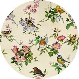 Komar Fototapete &raquo;Vlies selbstklebend - Bird Party - Gr&ouml;&szlig;e 125 x 125 cm&laquo; bedruckt glatt Wohnzimmer, Schlafzimmer bunt Vlies B/L: 125m x 125m, Rollen: 1