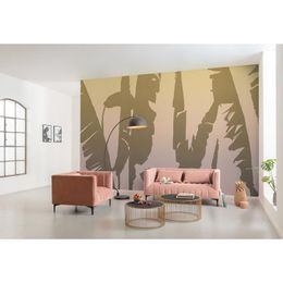 Komar Fototapete &raquo; Vlies Fototapete - Bahama Bananas - Gr&ouml;&szlig;e 350 x 250 cm&laquo; bedruckt glatt lila Vlies B/L: x 2,5m, Rollen: 7