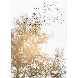 Livingwalls living walls Fototapete &raquo;ARTist Golden Skies&laquo; Vlies, Wand, Schr&auml;ge schwarz-wei&szlig; Vlies B/L: 2m x 2,8m