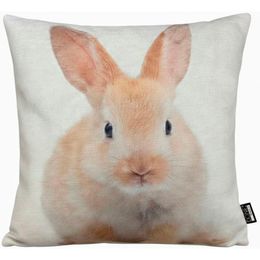 done. Dekokissen &raquo;BUNNY&laquo; Strapazierf&auml;higer Textildruck, mattes, hochwertiges Erscheinungsbild Polyester B/L: 45cm x 45cm, 1 Stk.