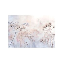WALLARENA Fototapete Blumen in Beige | Gr.: 150 x 105 cm