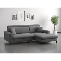 Trends by HG Ecksofa &raquo;Nizza, L-Form, B: 250cm&laquo; mit Schlaffunktion und Bettkasten grau 92% Polyester;8% Nylon B/H/T: 250cm x 104cm x 166cm, Struktur, 