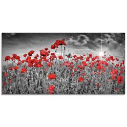 Artland Glasbild &raquo;Idyllisches Mohnblumenfeld mit Sonne&laquo; Blumen 1 Stk. tlg. in verschiedenen Gr&ouml;&szlig;en schwarz B/H/T: 60cm x 30cm, Glasbild Blumen Querformat, 1 