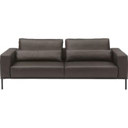 Musterring 3-Sitzer &raquo;JustB!PM100, 242 cm breit, aus hochwertigem Leder&laquo; XL-Sofa, wahlweise mit Nierenkissen und mot. Sitzauszug, Fu&szlig; schwarz braun 100% Leder B/H