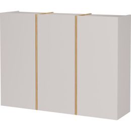 Germania Schuhschrank &raquo;Libbiano Plus&laquo; 1 Stk. tlg. Tiefe: 29 cm oder 38 cm, grifflos, Soft-close, verstellbare B&ouml;den Holzwerkstoff Kaschmir, B/H/T: 