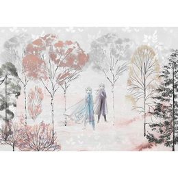 Komar Vliestapete &raquo;Digitaldruck Vlies - Frozen Nature Spirit - Gr&ouml;&szlig;e 400 x 280 cm&laquo; bedruckt glatt Kinderzimmer bunt Vlies B/L: 400m x 280m, Rollen: 1
