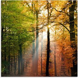 Artland Glasbild &raquo;Sch&ouml;ner Herbsttag 2&laquo; Wald 1 Stk. tlg. in verschiedenen Gr&ouml;&szlig;en braun B/H/T: 50cm x 50cm, Glasbild Wald, 1 Stk.