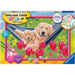 Ravensburger Malen nach Zahlen &raquo;Kuschelpause&laquo; Made in Europe bunt Einheitsgr&ouml;&szlig;e