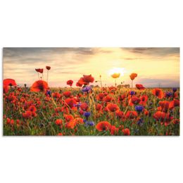Artland Wandbild &raquo;Mohnblumen&laquo; Blumen 1 Stk. tlg. als Alubild, Leinwandbild, Poster in verschied. Gr&ouml;&szlig;en rot B/H/T: 60cm x 30cm, Alu-Dibond-Druck Blumen 