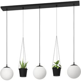 Eglo H&auml;ngeleuchte &raquo;RONDO 3&laquo; E27 1 Stk. H&auml;ngeleuchte mit Blumentopf schwarz H: 110cm, 1 Stk.