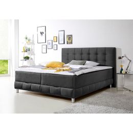 Home Affaire Boxbett &raquo;Vaasa&laquo; inkl. Bettkasten & Topper, XXL-Ausf&uuml;hrung, &Uuml;berl&auml;nge 220 cm grau Samtoptik, Liegefl&auml;che B/L: 160cm x 200cm, H2 + H2, 