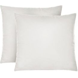 Biberna Kissenbezug &raquo;Michi Feinjersey mit Rei&szlig;verschluss&laquo; verschiedene Gr&ouml;&szlig;en, Feinjersey Kissenh&uuml;lle aus 100% Baumwolle silber Feinjersey, Obermaterial: 100%
