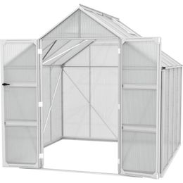 Vitavia Gew&auml;chshaus &raquo;Domus 6700&laquo; mit Doppelschwingt&uuml;ren und bodentiefer T&uuml;rschwelle, 4 mm Hohlkammer silber B/H/T: 257cm x 253,9cm x 263cm