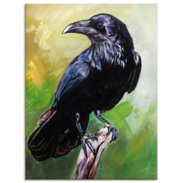 Artland Wandbild &raquo;Der Rabe in Gr&uuml;n&laquo; Vogelbilder 1 Stk. tlg. als Alubild, Leinwandbild, Poster, Wandaufkleber in verschied. Gr&ouml;&szlig;en Leinwand B/H/T: 60cm x 80cm,