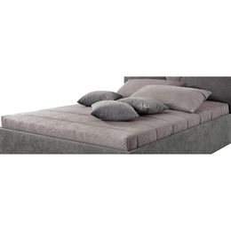 Westfalia Schlafkomfort Tagesdecke grau Polyester B/L: 130cm x 220cm