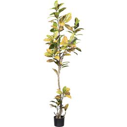 Creativ green K&uuml;nstliche Zimmerpflanze &raquo;Croton&laquo; mit au&szlig;ergew&ouml;hnlichem Blattwerk gr&uuml;n B/H/L: 200cm, 1 Stk.