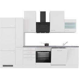 Flex-Well K&uuml;chenzeile &raquo;Neo&laquo; wahlweise mit E-Ger&auml;ten, Gesamtbreite 310 cm grau B/H/T: 310cm x 234cm x 60cm,mit E-Ger&auml;ten