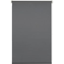 Gardinia Seitenzugrollo &raquo;Uni Klemmrollo&laquo; Lichtschutz Sichtschutz mit Bohren/ohne Bohren freih&auml;ngend Schraubmontage m&ouml;glich grau Polyester 210cm, 