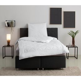 OTTO home Naturhaarbettdecke &raquo;Chailley Bettdecke in 135x200 cm und 155x220 cm&laquo; leicht F&uuml;llung 96% Kamelhaar, 4% sonstige Faser 1 Stk. tlg. Bettdecken,