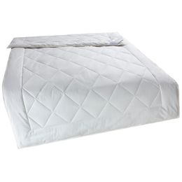 OTTO home Naturhaarbettdecke &raquo;Chailley Bettdecke in 135x200 cm und 155x220 cm&laquo; leicht F&uuml;llung 96% Kamelhaar, 4% sonstige Faser 1 Stk. tlg. Bettdecken,