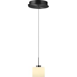 HELL h&ouml;llisch gutes Licht LED Pendelleuchte &raquo;ABBY&laquo; LED-Modul 1 Stk. Warmwei&szlig; B-Link Fernbedienung, Stufenlos h&ouml;henverstellbar 1, &Oslash; 26cm, 1 Stk.