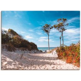 Artland Leinwandbild &raquo;Weststrand Darss&laquo; Strand 1 Stk. tlg. auf Holzrahmen gespannt blau Leinwand B/H/T: 60cm x 45cm, Leinwandbild Strand, 1 Stk.