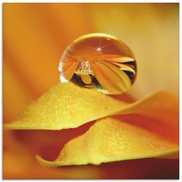 Artland Glasbild &raquo;Wassertropfen II&laquo; Bl&auml;tter 1 Stk. tlg. in verschiedenen Gr&ouml;&szlig;en orange B/H/T: 30cm x 30cm, Glasbild Bl&auml;tter quadratisch, 1 Stk.