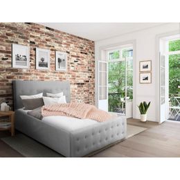 Home Affaire Polsterbett &raquo;Vaine&laquo; in 5 Breiten, auch in L&auml;nge 220 cm, incl. Roll-Lattenrost silber Samtoptik (100% Polyester) Liegefl&auml;che L&auml;nge B: 