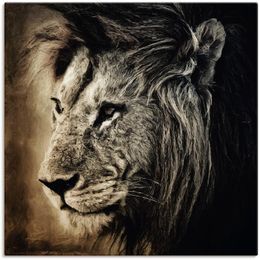 Artland Leinwandbild &raquo;L&ouml;we II&laquo; Wildtiere 1 Stk. tlg. auf Holzrahmen gespannt braun Leinwand B/H/T: 40cm x 40cm, Leinwandbild Wildtiere quadratisch, 1 Stk.