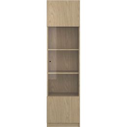 Vitrine &raquo;Vitrine Iris mit 1 T&uuml;r&laquo; Funktionale Vitrine mit Glast&uuml;r beige Holzwerkstoff Eiche Rookwood Nachbildung, B/H/T: 45cm x 172cm x 38cm, T&uuml;ren: 1 