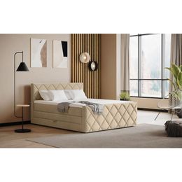 COTTA Boxspringbett &raquo;Tower inkl. Bettkasten, mit Keder in abgesetzter Farbe&laquo; in verschiedenen Breiten, H&auml;rtegraden und Farben erh&auml;ltlich 100% 