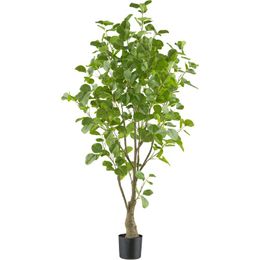 Creativ green Kunstbaum &raquo;Eukalyptus&laquo; mit sehr naturgetreu gestalteten Bl&auml;ttern gr&uuml;n Kunststoff B/H/L: 130cm, 1 Stk.
