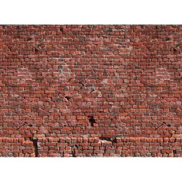 Livingwalls living walls Fototapete &raquo;Designwalls Brick Red&laquo; glatt Vlies, Wand, Schr&auml;ge, Decke rot Vlies B/L: 3,5m x 2,55m