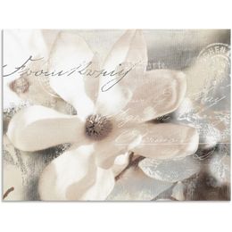 Artland Wandbild &raquo;Magnolie_Detail&laquo; Blumenbilder 1 Stk. tlg. als Alubild, Leinwandbild, Poster in verschied. Gr&ouml;&szlig;en wei&szlig; B/H/T: 120cm x 90cm, Alu-Dibond-Druck 