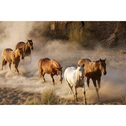 papermoon Fototapete &raquo;Wild Horses&laquo; glatt bunt Vlies B/L: 3m x 2,23m, Bahnen: 6 Stk.