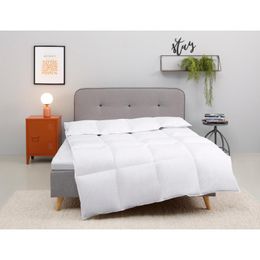 OTTO home Daunenbettdecke &raquo;Covino, Bettdecke 135x200 cm, 155x220 cm&laquo; normal F&uuml;llung 60% Daunen & 40% Federn 1 Stk. tlg. Bettdecke Sommer, Winter, Made