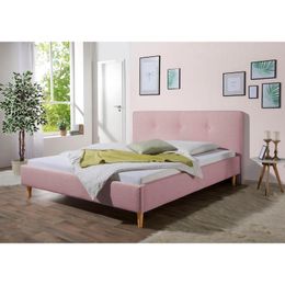 Maintal Polsterbett &raquo;Lonepine&laquo; Bettseiten zerlegt, ohne Bettkasten rosa Liegefl&auml;che L&auml;nge B: 200cm x 160cm, Struktur (100% Polyester) ohne Lattenrost/ohne 