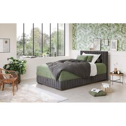 COTTA Boxbett &raquo;Beetle&laquo; inkl. Topper und Bettkasten grau 100% POLYESTER (PES) Stoff Karo, Liegefl&auml;che B/L: 120cm x 200cm, Gewicht bis: 90 kg H3, 7-