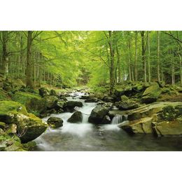 papermoon Fototapete &raquo;Soft Water Stream&laquo; glatt bunt Vlies B/L: 4m x 2,6m, Bahnen: 8 Stk.